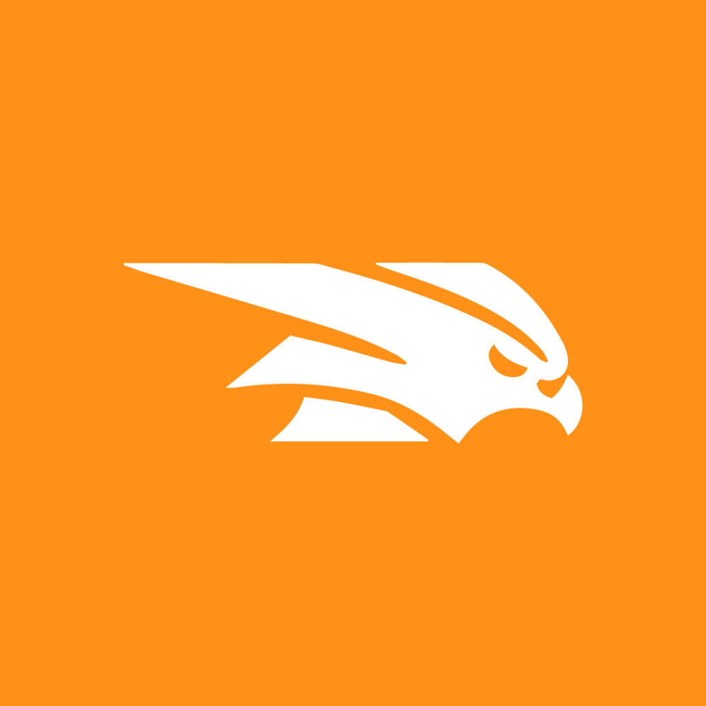 Hawk Logo - Strife Studio - Design Agency
